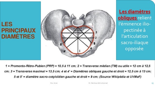 Bassin obstetrical [enregistrement automatique]