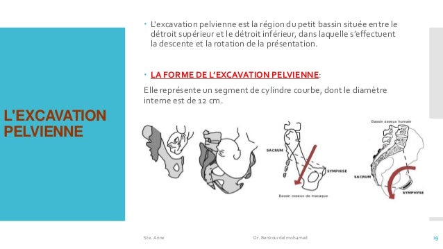 Bassin obstetrical [enregistrement automatique]
