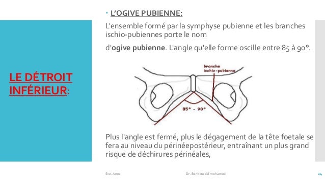 Bassin obstetrical [enregistrement automatique]