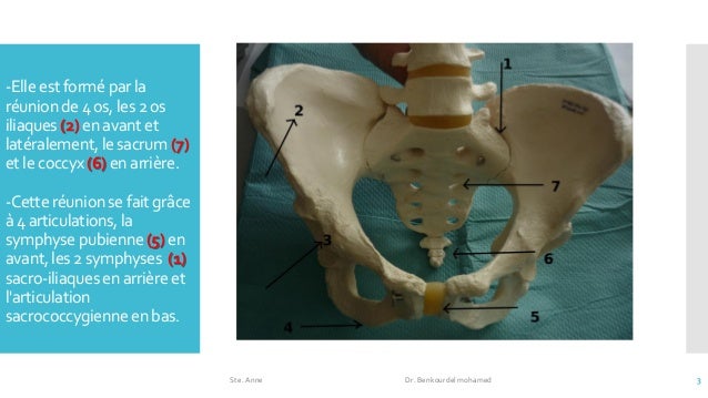 Bassin obstetrical [enregistrement automatique]