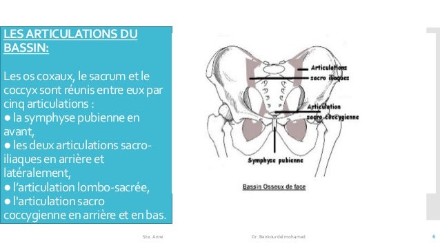 Bassin obstetrical [enregistrement automatique]