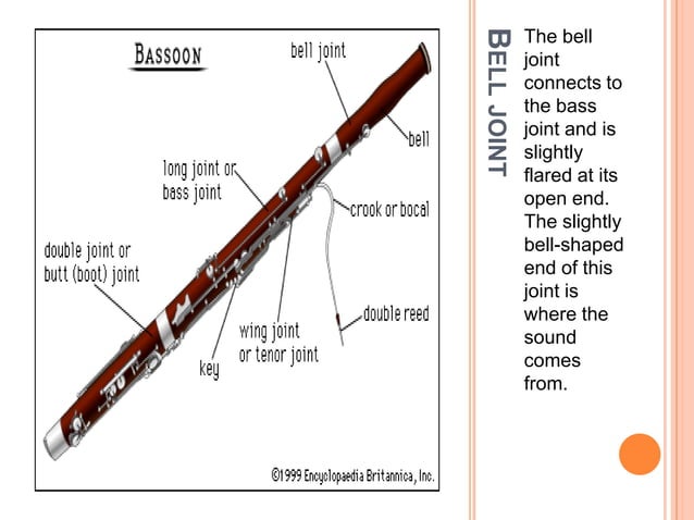 Bassoon | PPT