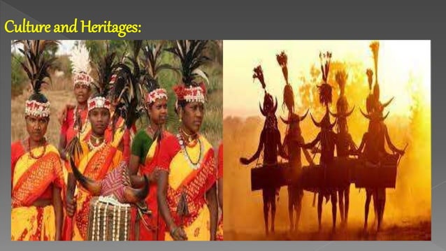 Bastar culture | PPTX
