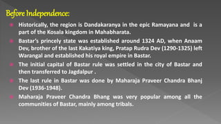 Bastar culture | PPTX