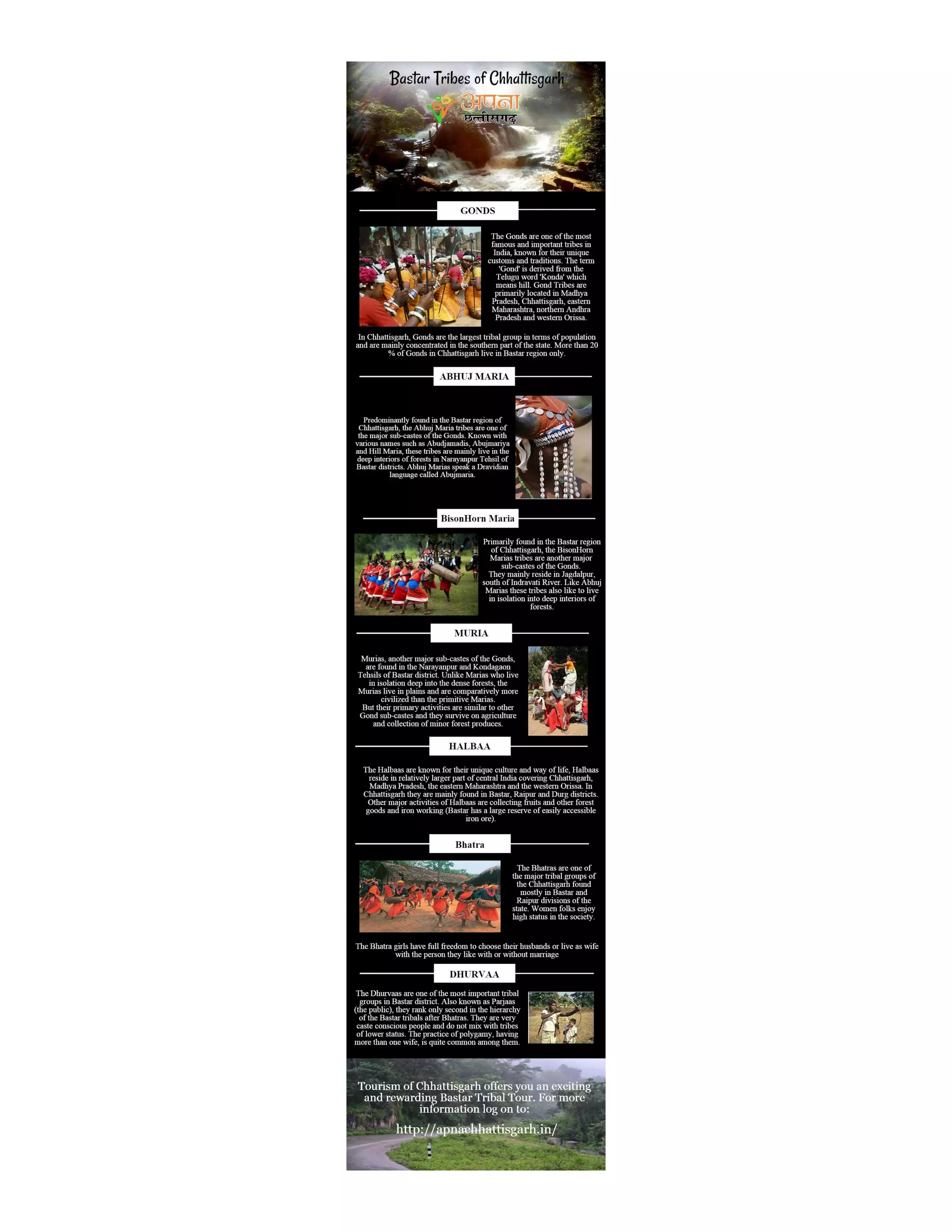 Bastar tribes of chhattisgarh.pdf