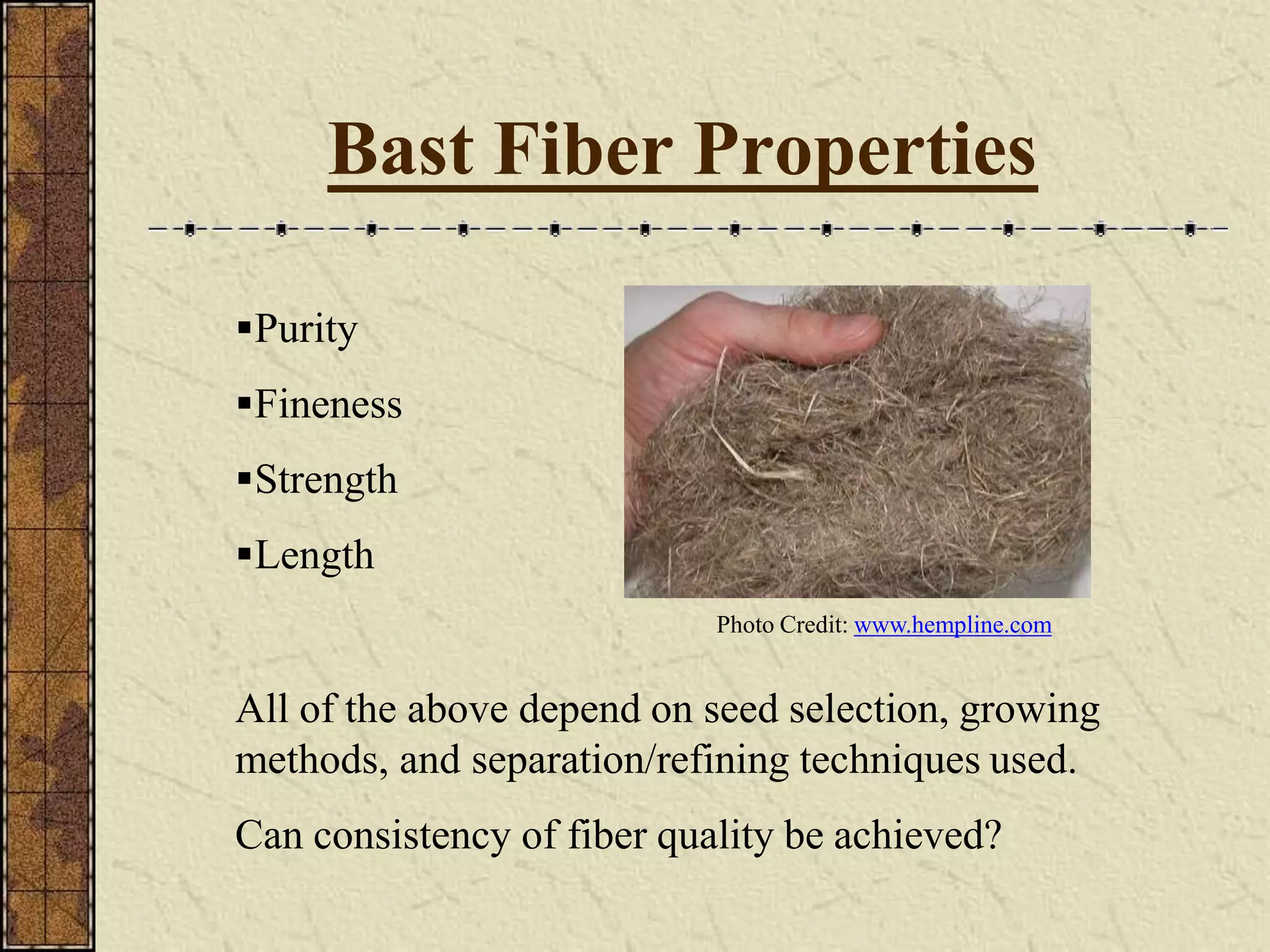 bast fiber.pptx