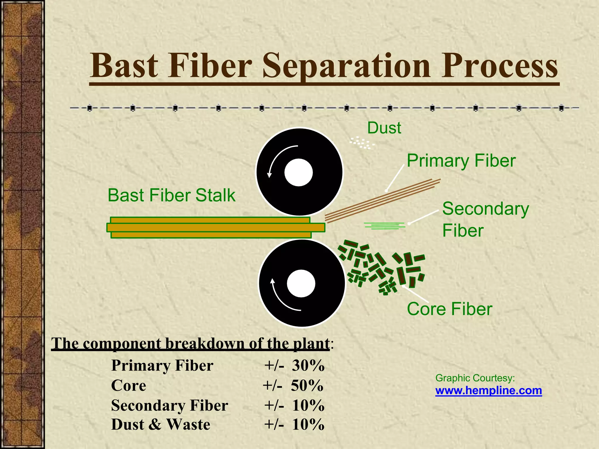 bast fiber.pptx