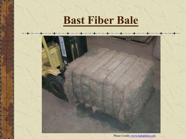 bast fiber.pptx