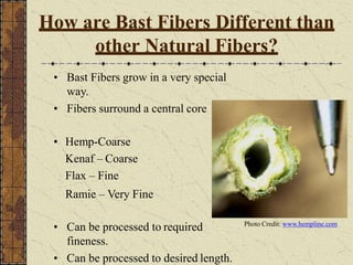 bast fiber.pptx