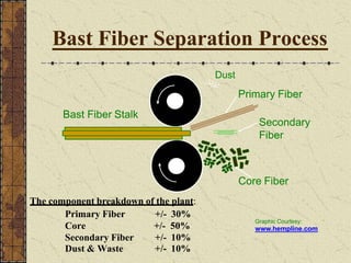 bast fiber.pptx