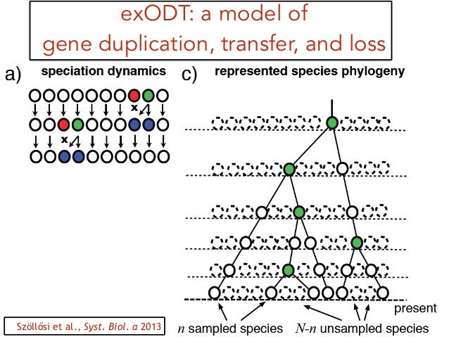 Models of gene duplication, transfer and loss to study genome evoluti…