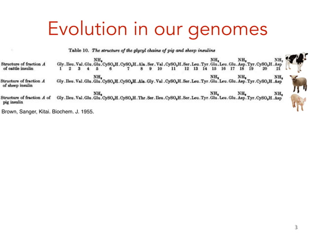 Evolutionary genomics | PDF