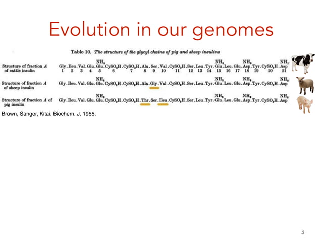 Evolutionary genomics | PDF