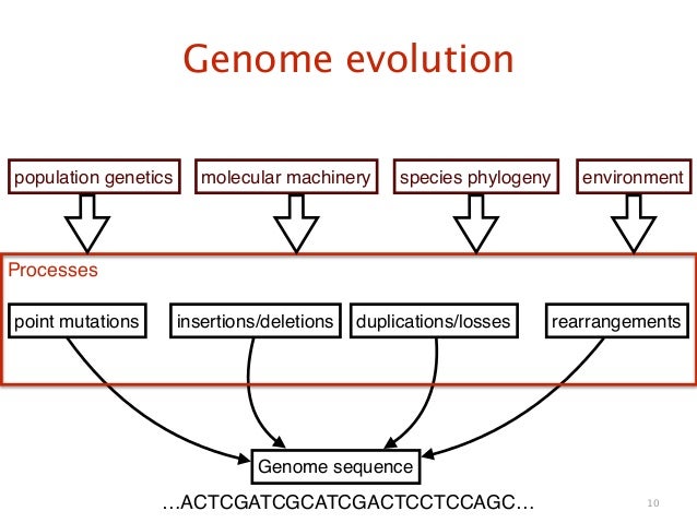 Evolutionary genomics