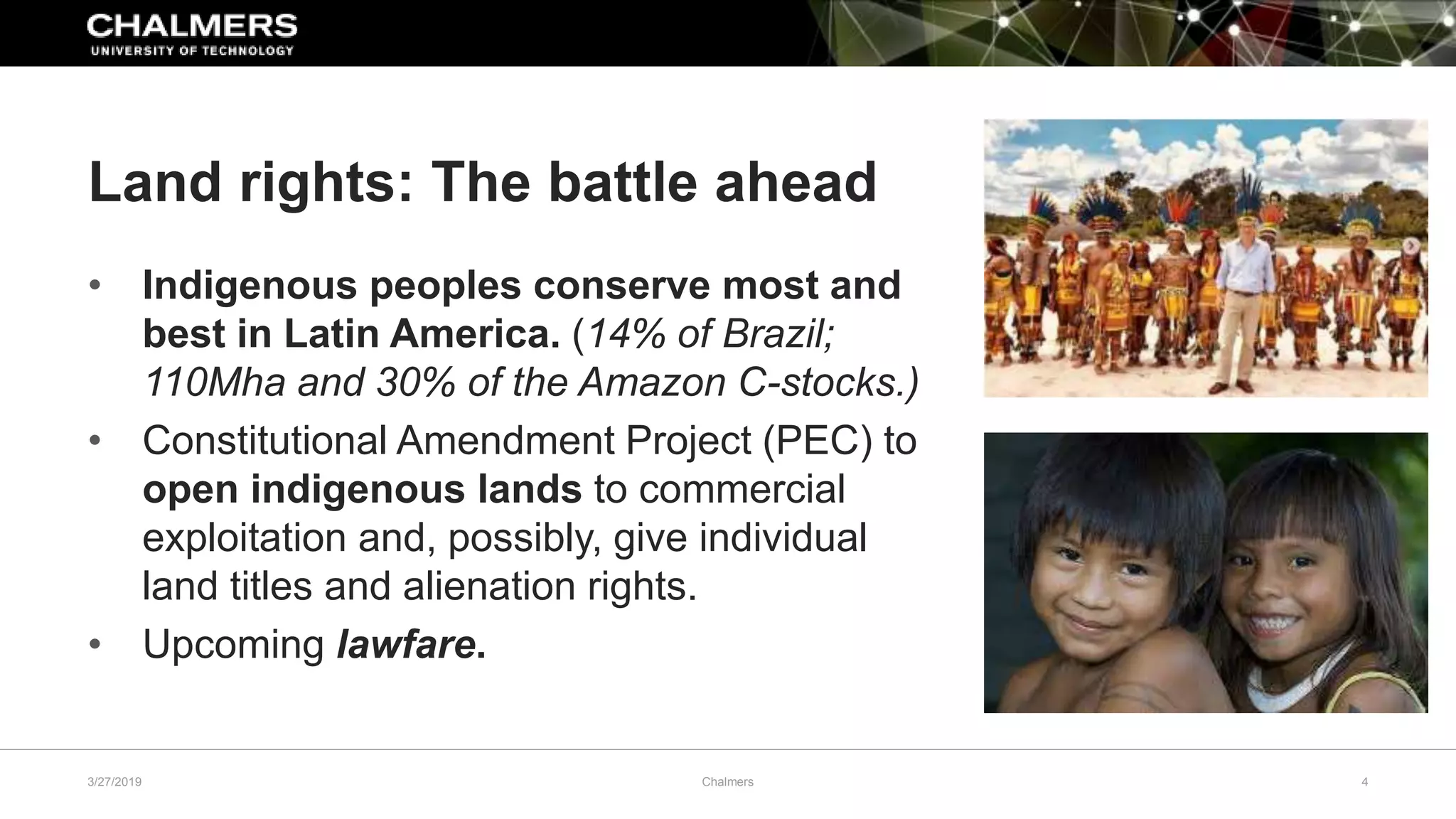 Insights from current developments in the Amazon and the role of land ...
