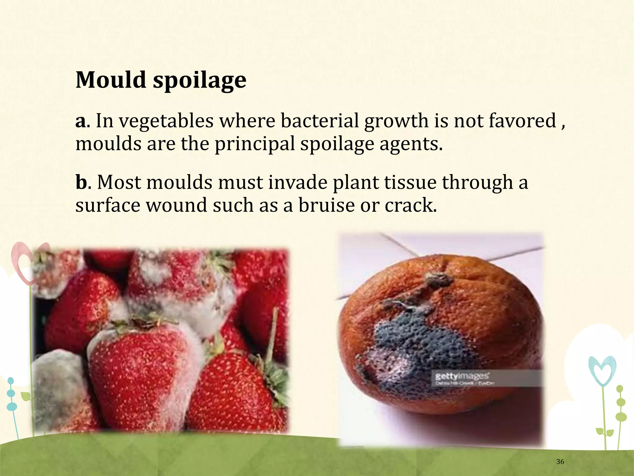 FOOD SPOILAGE | PPTX