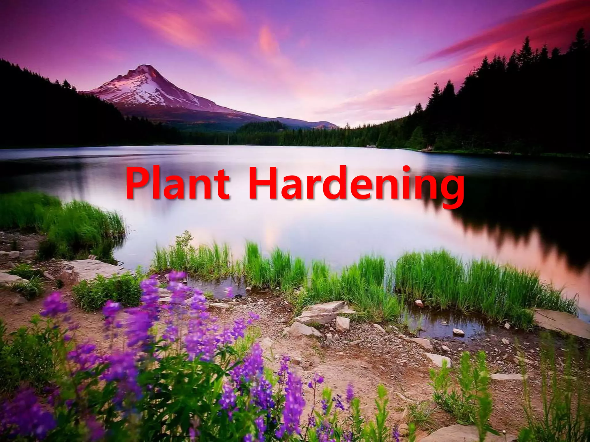 Nursery plant hardening, container gardening | PPTX