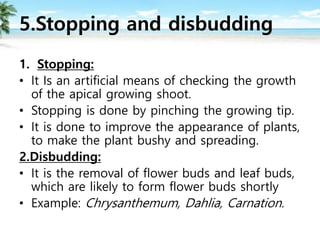 Nursery plant hardening, container gardening | PPTX