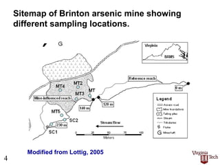 Sequential Extraction of Arsenic | PPT