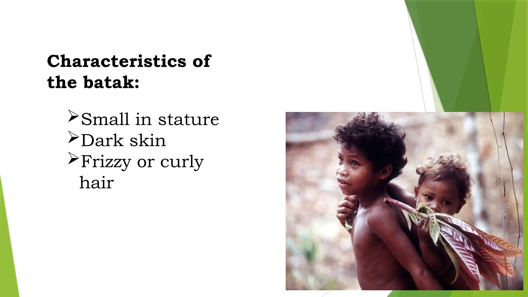 Batak guide.pptx tribe indigenous Philippines | PPTX