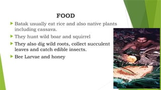 Batak guide.pptx tribe indigenous Philippines | PPTX