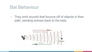 Bat algorithm explained. slides ppt pptx | PPTX