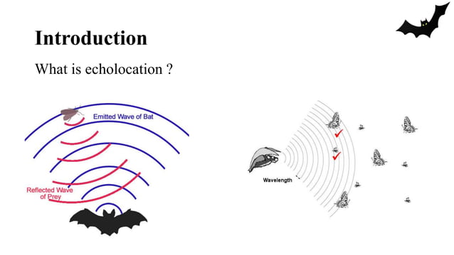 Bat algorithm | PPTX | Technology & Computing