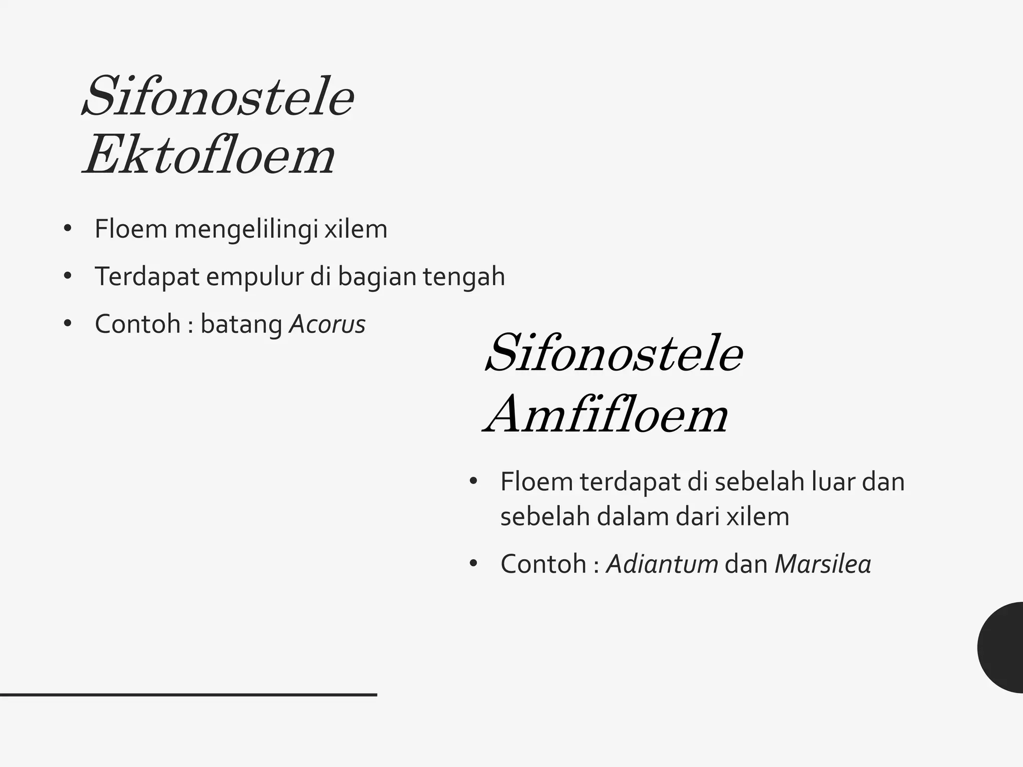 morfologi tumbuhan-Batang | PPTX