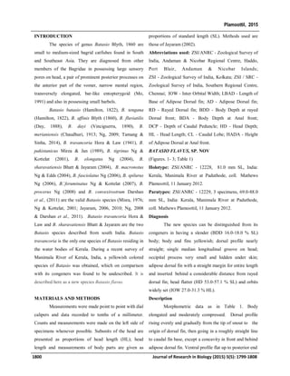 Batasio flavus | PDF