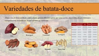 Batata-doce apresentação comia geografia culturas | PPTX