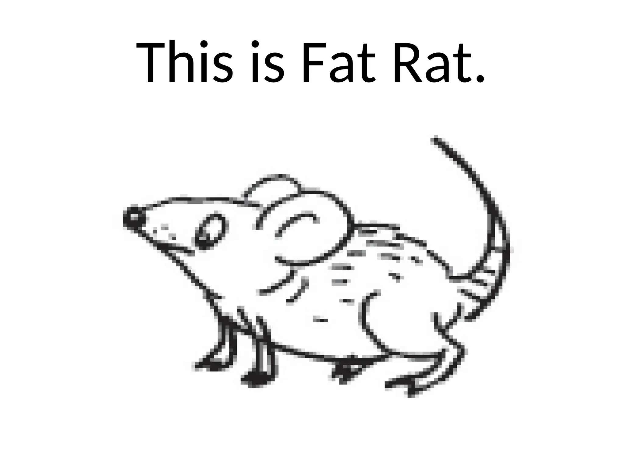 Bat Cat and Fat Rat, a story for children | PPT