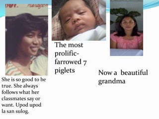 Batch ‘87 faces, paces- then and now | PPT