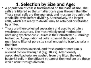 Batch cont. synchro cultures classs1.ppt