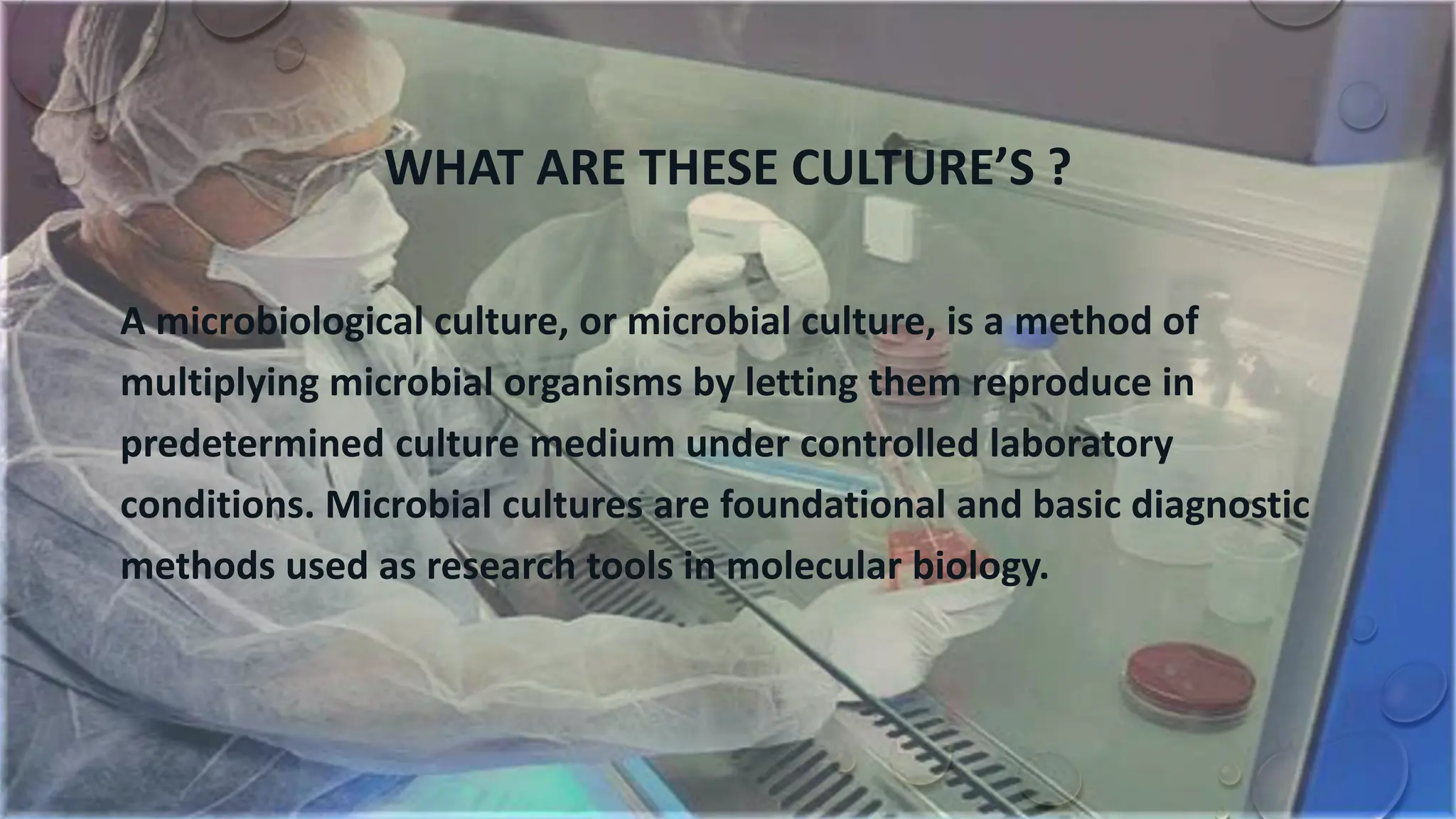 Batch ,continous and synchronus culture.pptx