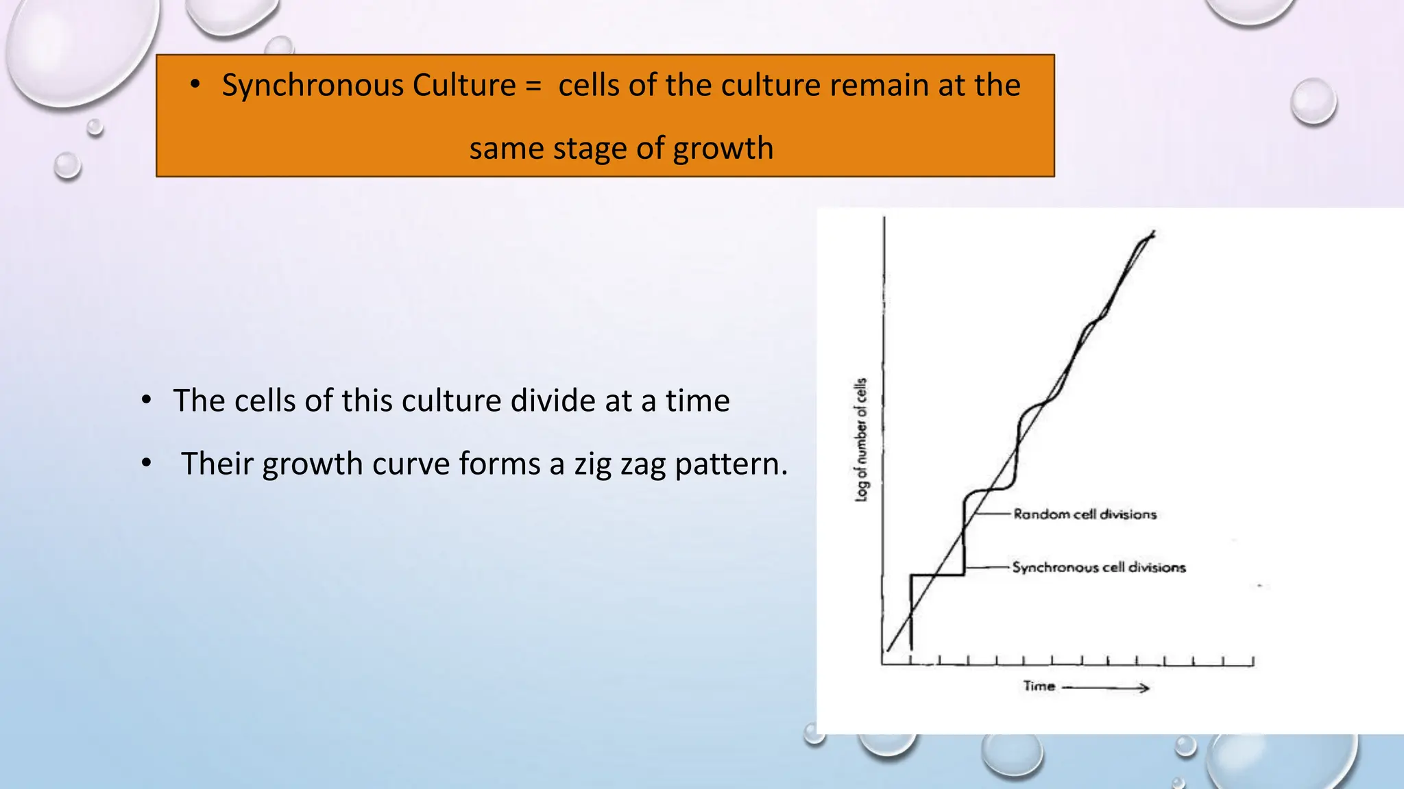 Batch ,continous and synchronus culture.pptx