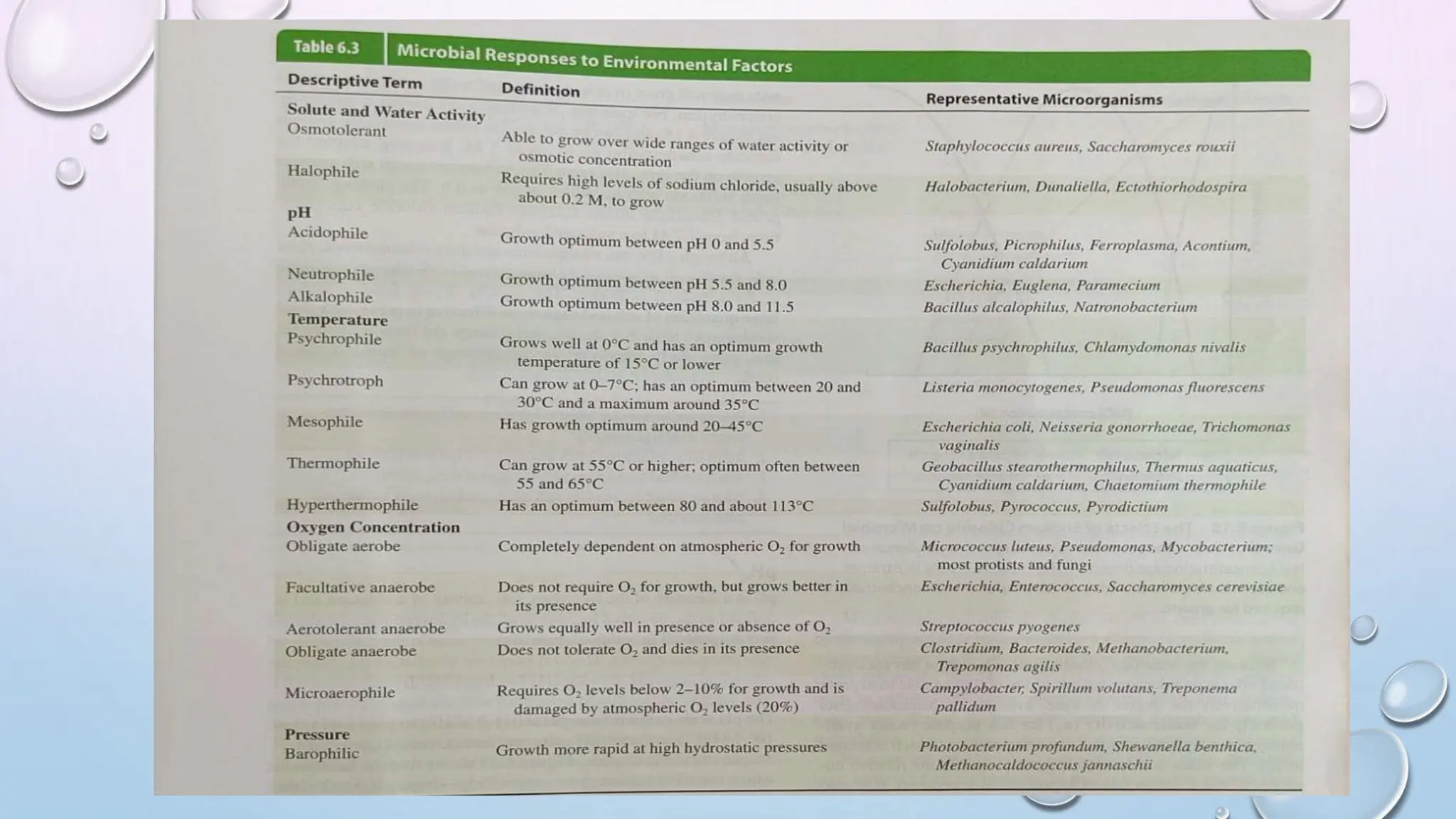 Batch ,continous and synchronus culture.pptx