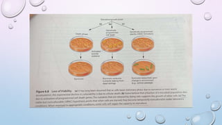 Batch ,continous and synchronus culture.pptx | Biological Sciences ...