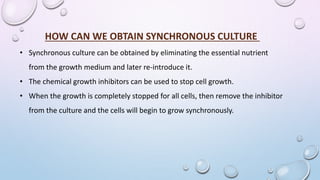 Batch ,continous and synchronus culture.pptx