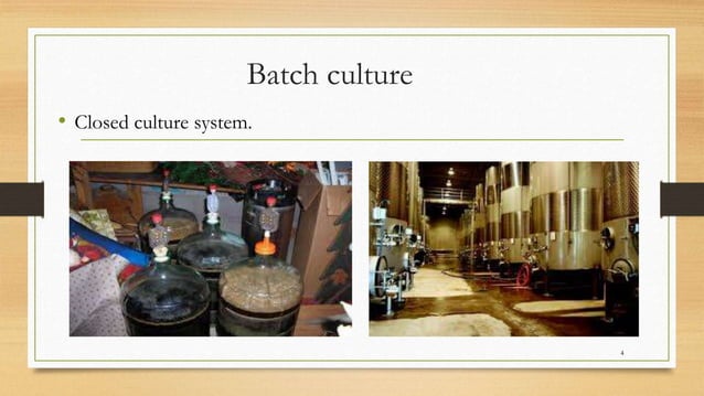 Batch & continuous culture | PPTX | Chemistry | Science