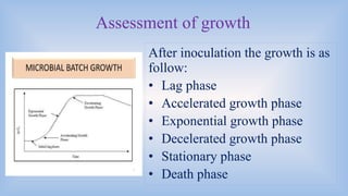 Batch, continuous, synchronous and asynchronous growth of microbes.pptx