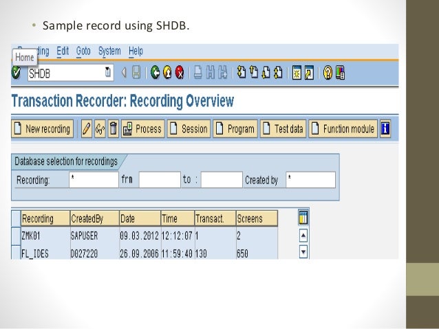 Sap Batch Data Communication