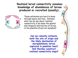 Larval connectivity along the Oregon coast | PPT