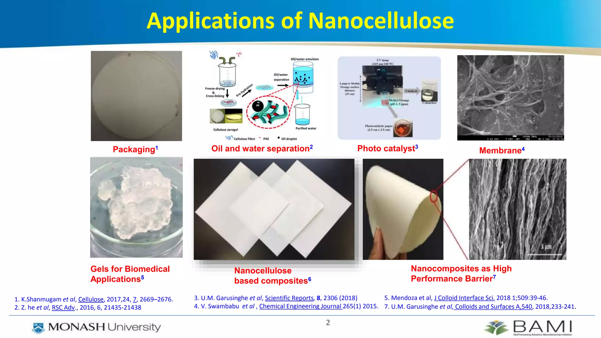 Nanocellulose Applications | PPTX | Chemistry | Science