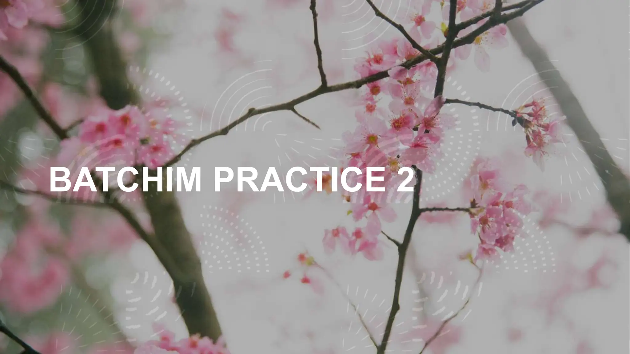 BATCHIM PRACTICE 2 in KOREAN Hangul Subj | PPTX