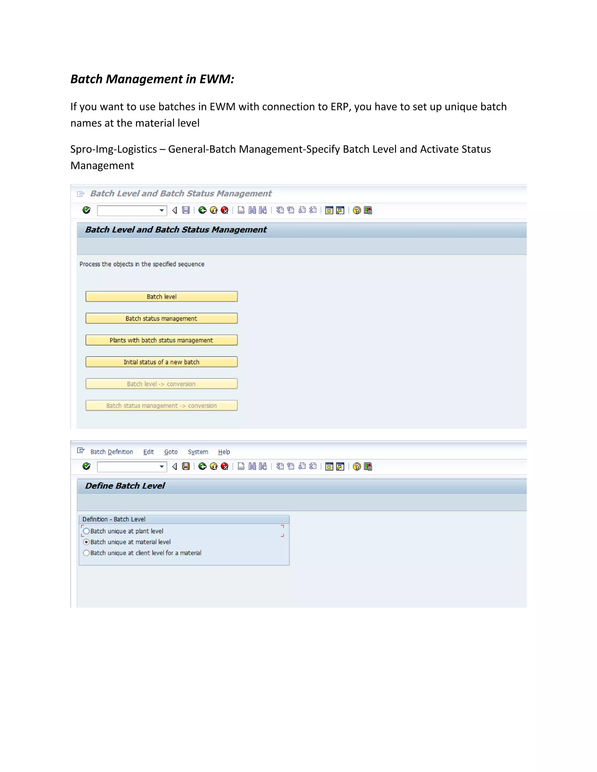 SAP EWM BATCH MANAGEMENT | DOC