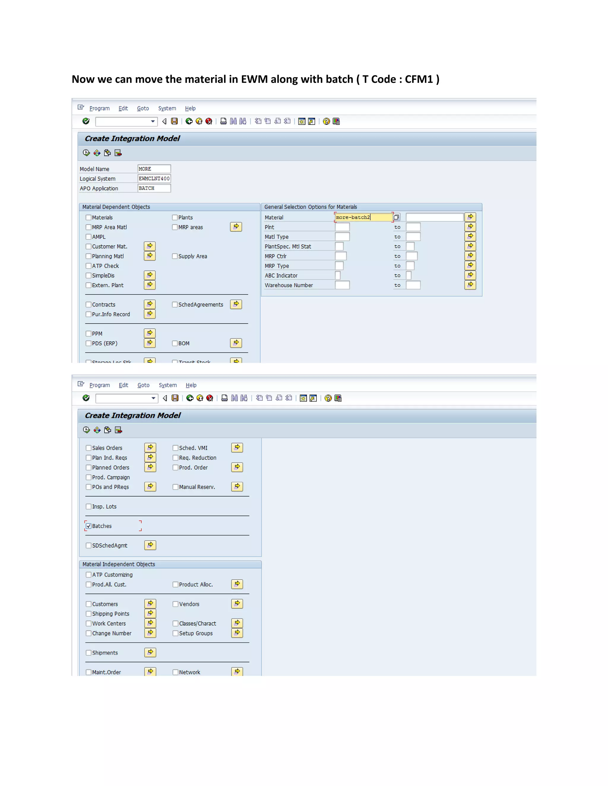 SAP EWM BATCH MANAGEMENT | DOC