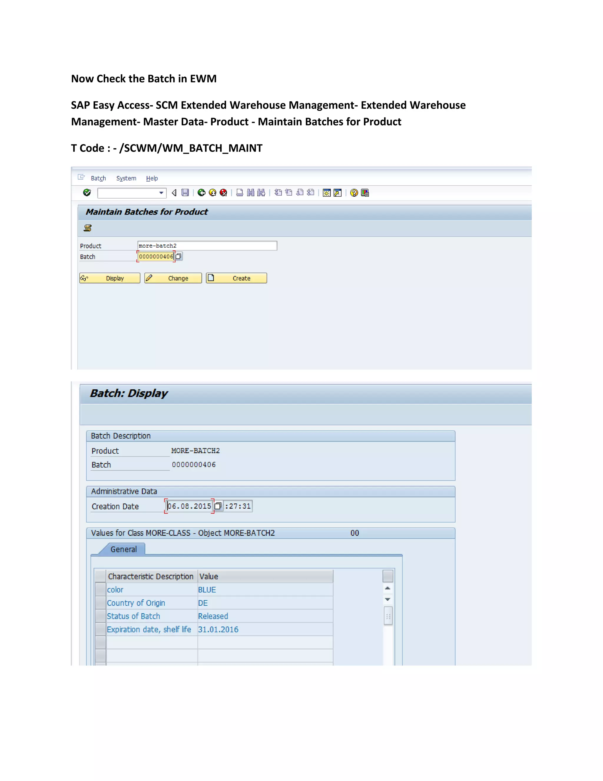 SAP EWM BATCH MANAGEMENT | DOC