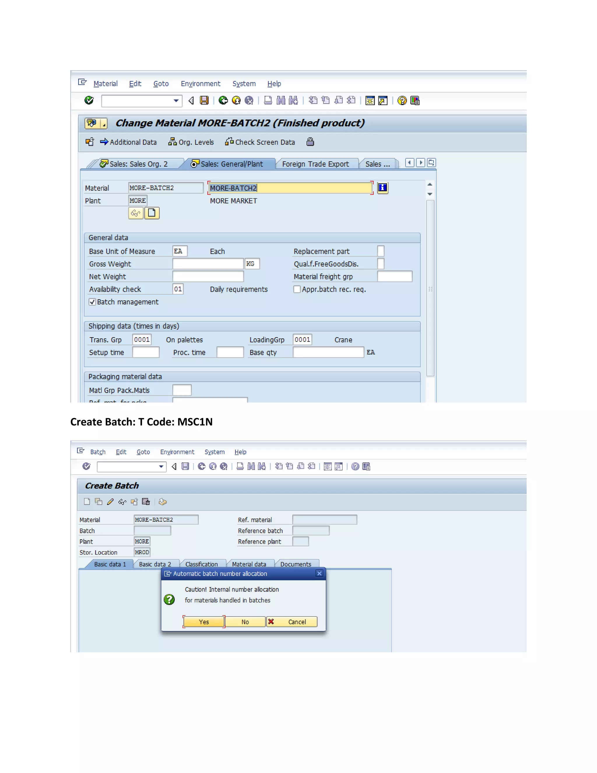 SAP EWM BATCH MANAGEMENT | DOC