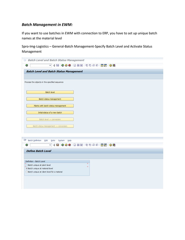 SAP EWM BATCH MANAGEMENT | DOC | Operating Systems | Computer Software ...