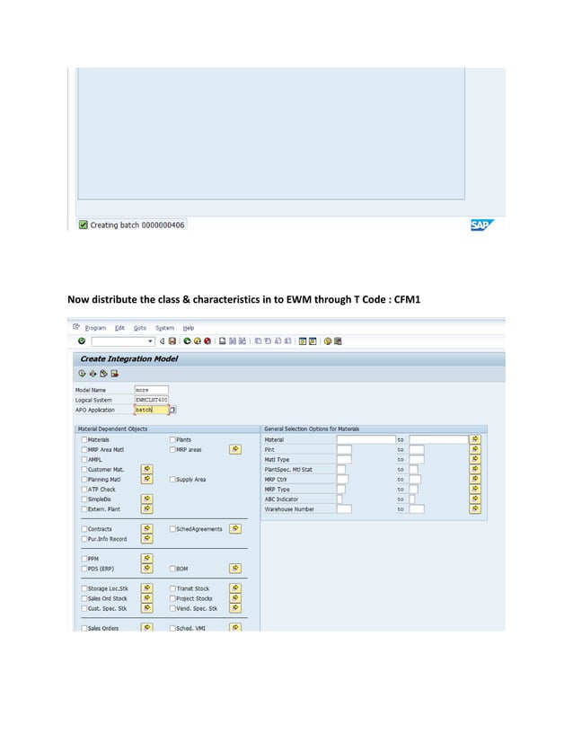 SAP EWM BATCH MANAGEMENT | DOC | Operating Systems | Computer Software and Applications